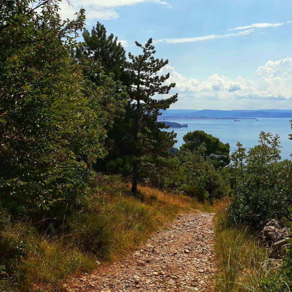 VIA FLAVIA | Cammino | 5 Tappe | Friuli Venezia Giulia
