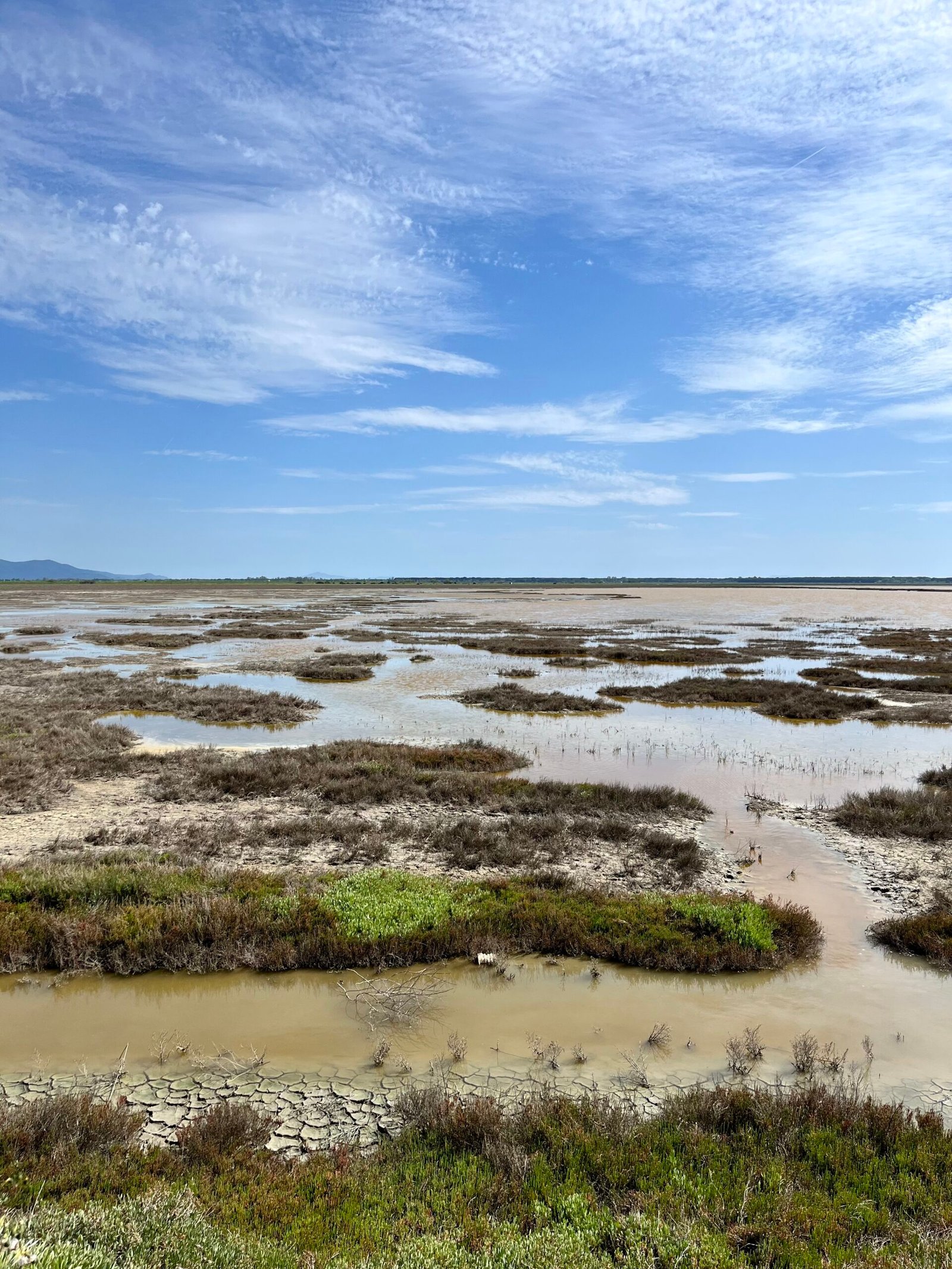 Gravel nell'Isola Clodia | Grosseto | Toscana | LAVIA